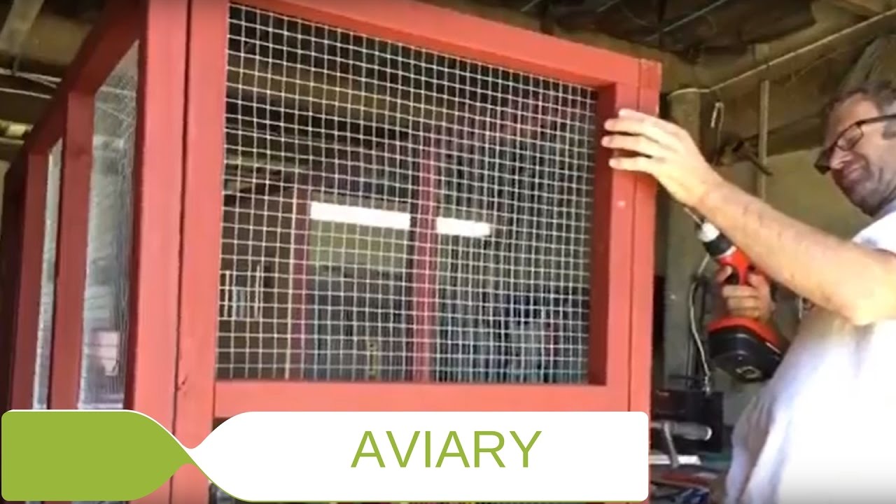 Building our Aviary! - YouTube