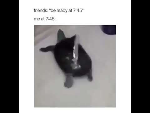 Dancing Turtle Meme/Vine - YouTube