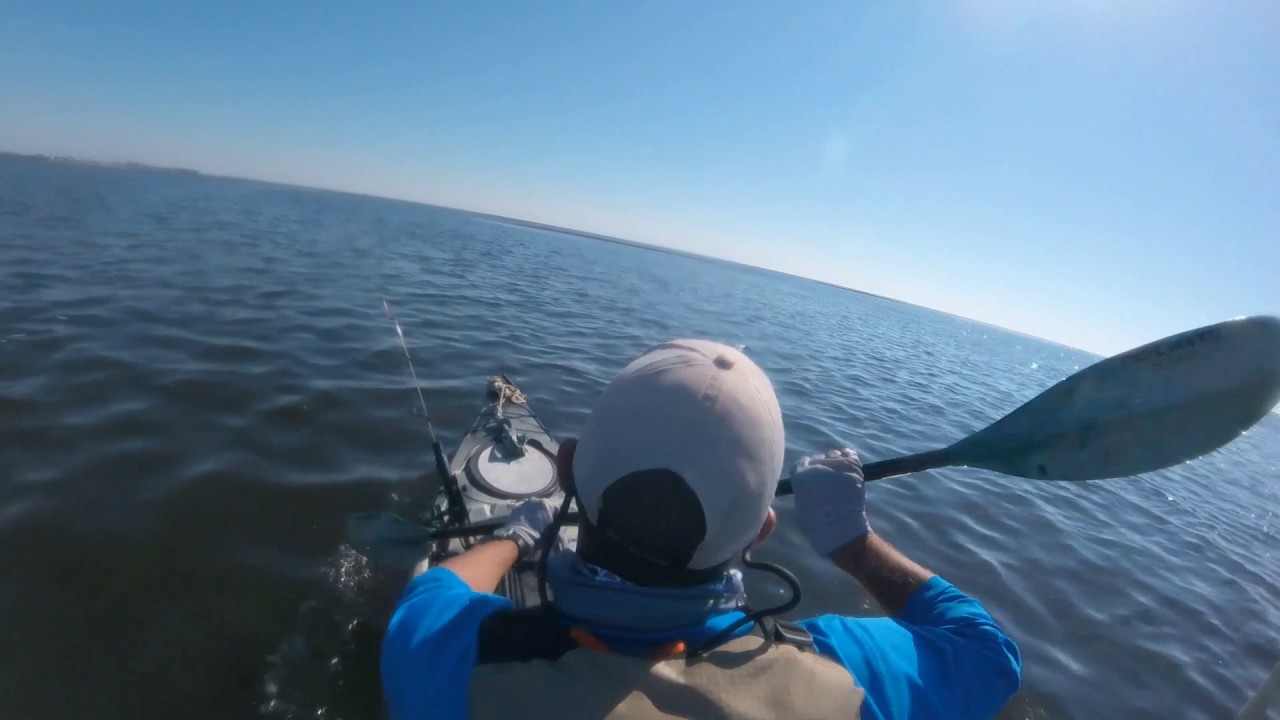 Fishing Panacea - YouTube