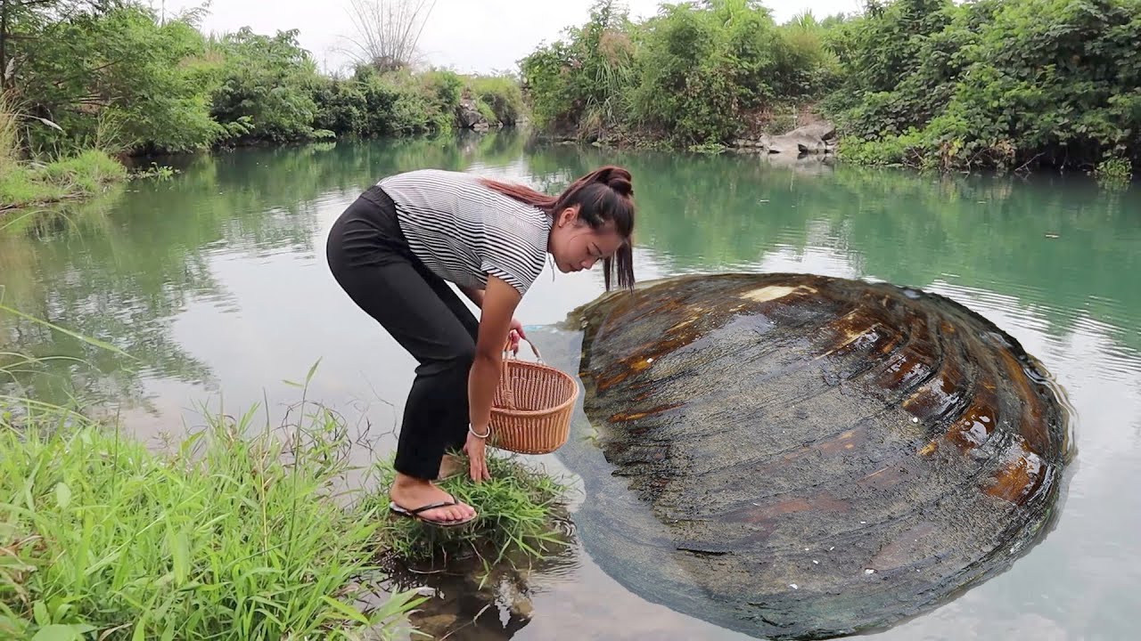 The girl picked up a huge clam, and when she opened its shell, the ...