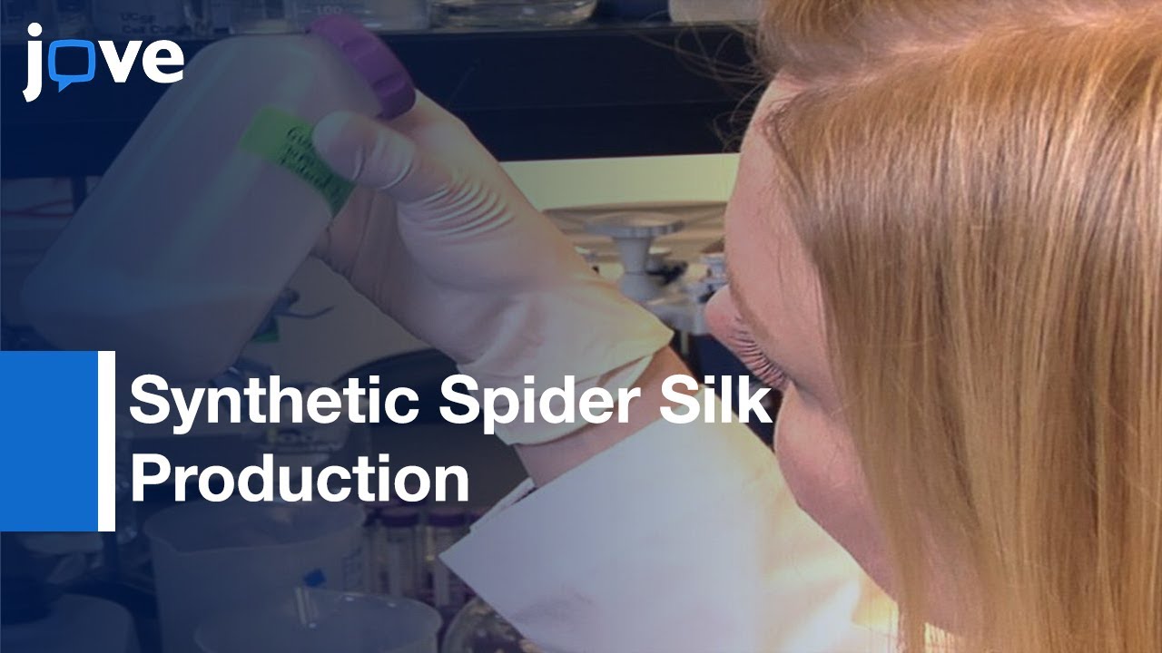 Synthetic Spider Silk Production On A Laboratory Scale l Protocol ...