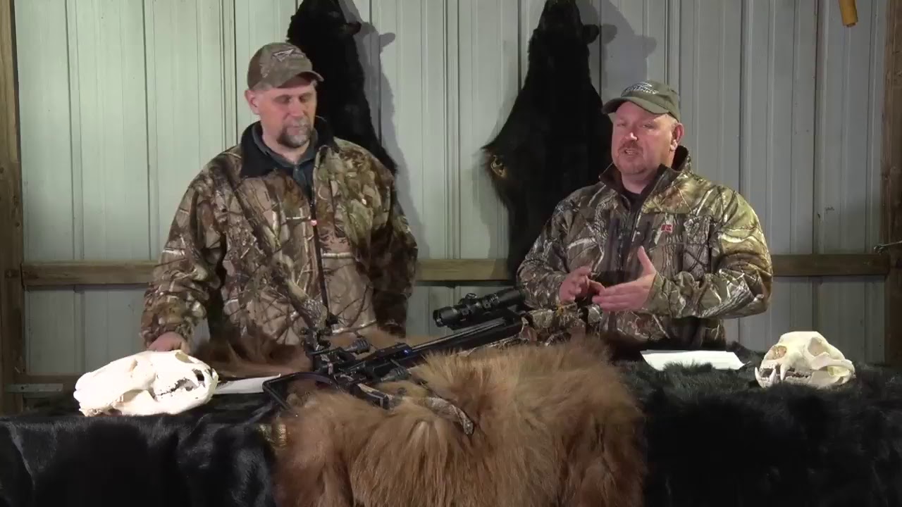 Backwoods TV LIVE! - YouTube