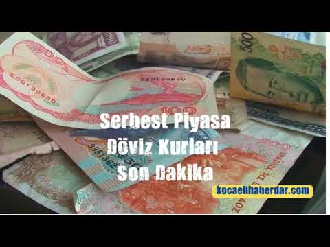 Serbest Piyasa Döviz Kurları 8 Nisan 2024