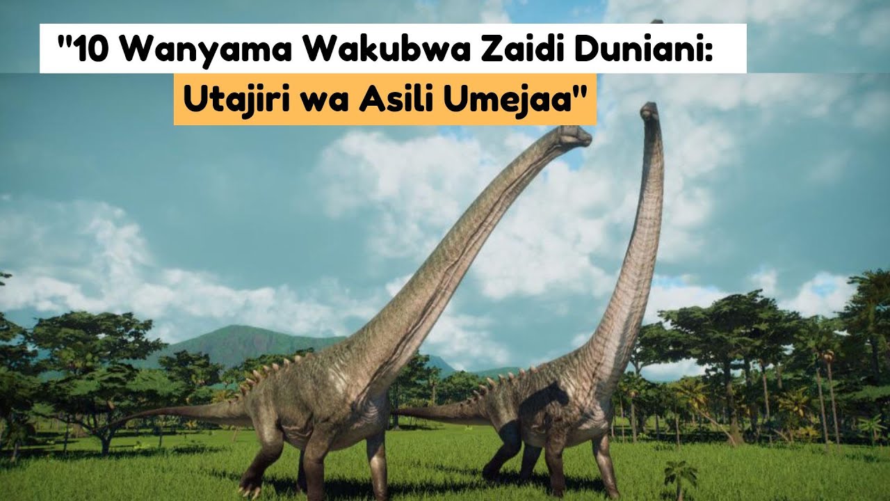 "Wanyama 10 Wakubwa Zaidi Duniani: Hii Ni Kivutio cha Asili Kisichoweza ...