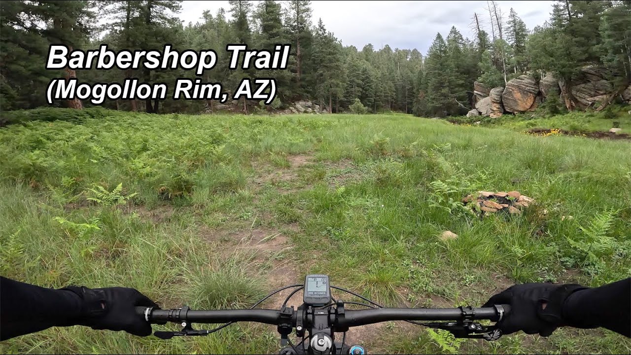 Cabin Loop - Barbershop Trail (Mogollon Rim, AZ) - YouTube