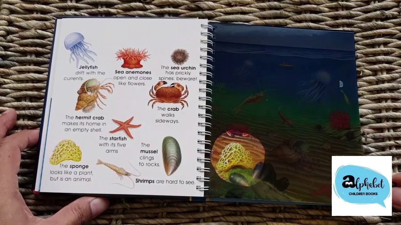 Fish Underwater - Torchlight - YouTube