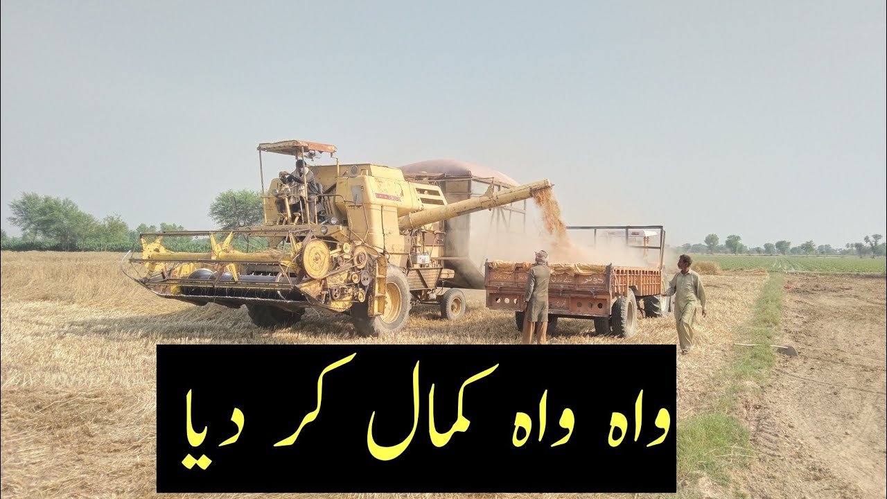 Harvester machine Jo k bhoosa or gandam akathi nikalati hy - YouTube