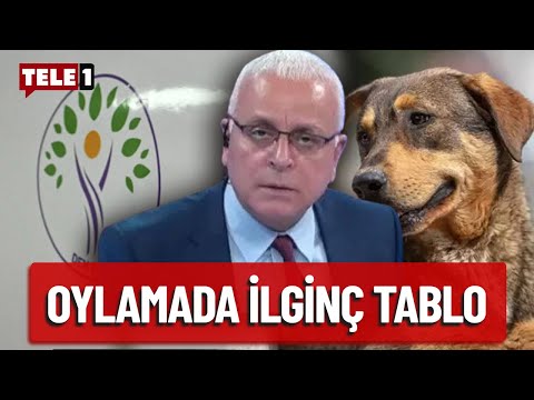 DEM Parti'nin 22 Vekili katliam yasasına çekimser kaldı... Merdan Yanardağ sert çıktı!