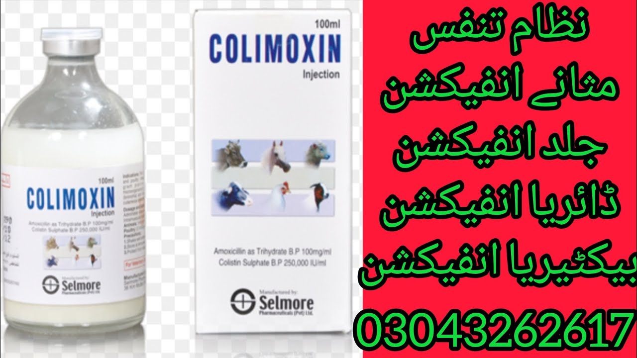 Colimoxin injection amoxicilli colistin sulphate Used in Metritis and ...