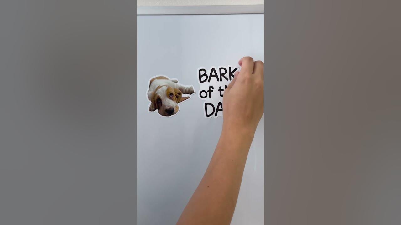 How to use Bark of the Day and Woof of the Week in the Classroom - YouTube