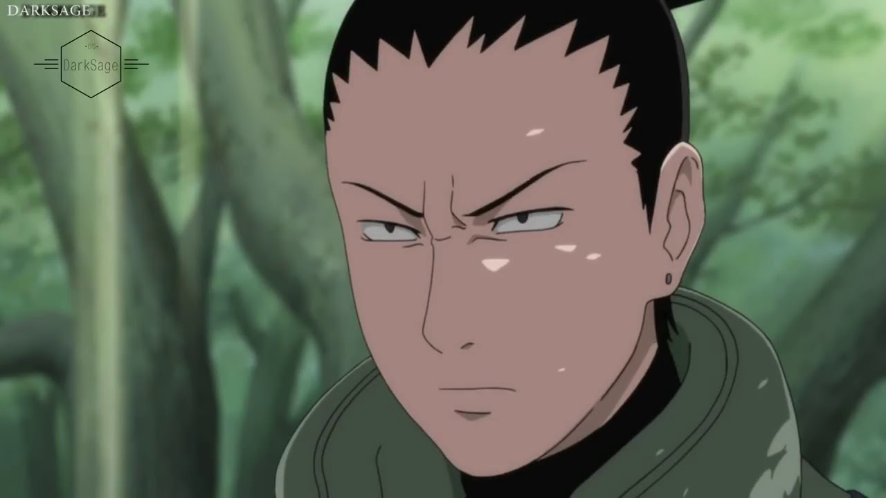 Rock Lees Hidden Lotus