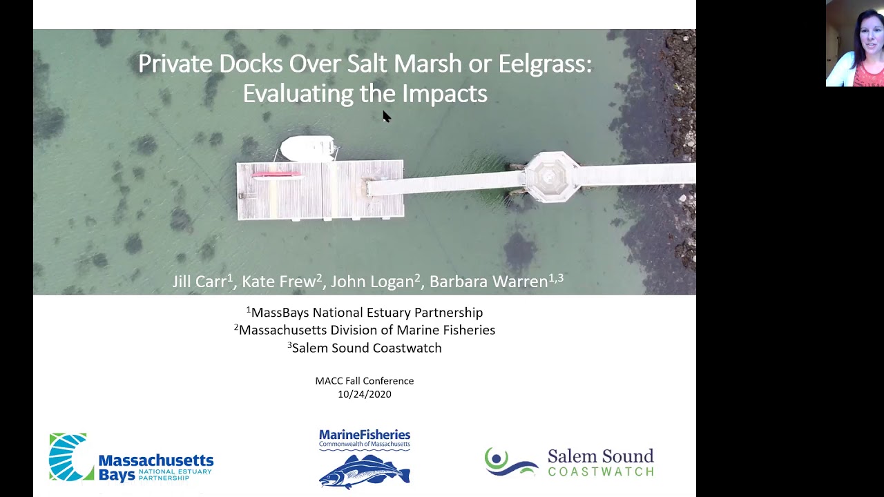 Residential Docks over Eelgrass and Salt Marsh: Assessing the Impacts ...