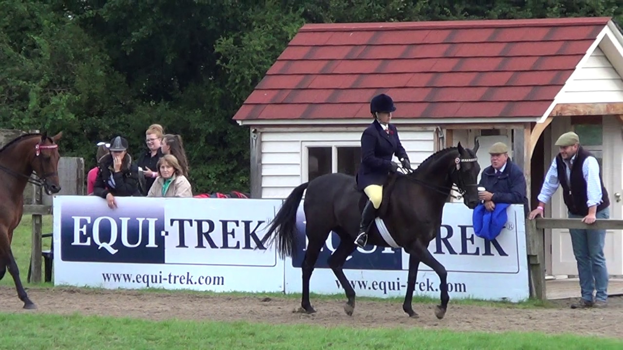 The Brereton Small Hack Class At The Royal International Horse Show ...