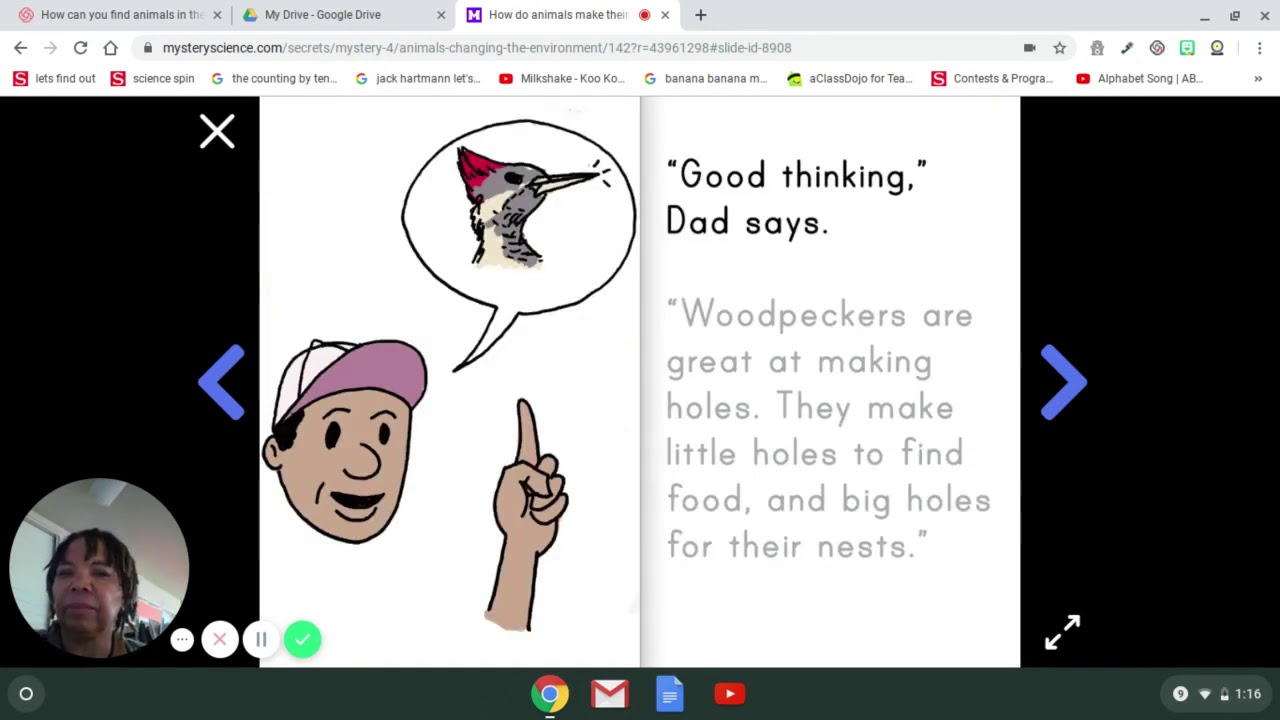 Sci Unit 1 Mystery #4: How do animals make their homes in the forest ...