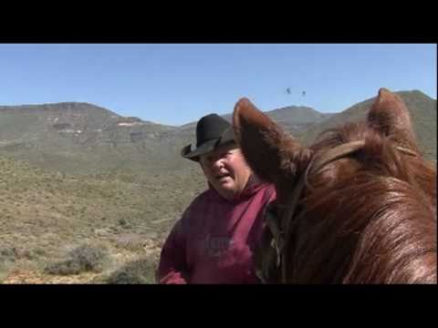 Wild Cow Catchers - YouTube