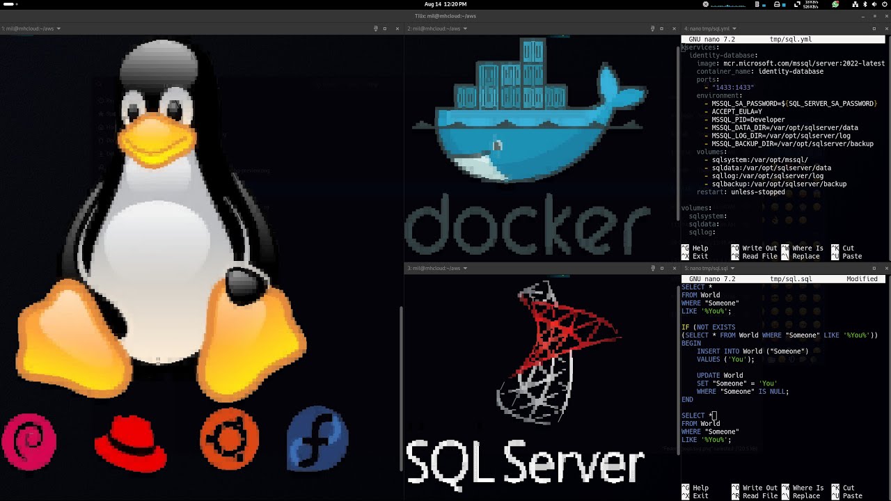 Despliegue de SQL Server con Docker en Linux - YouTube