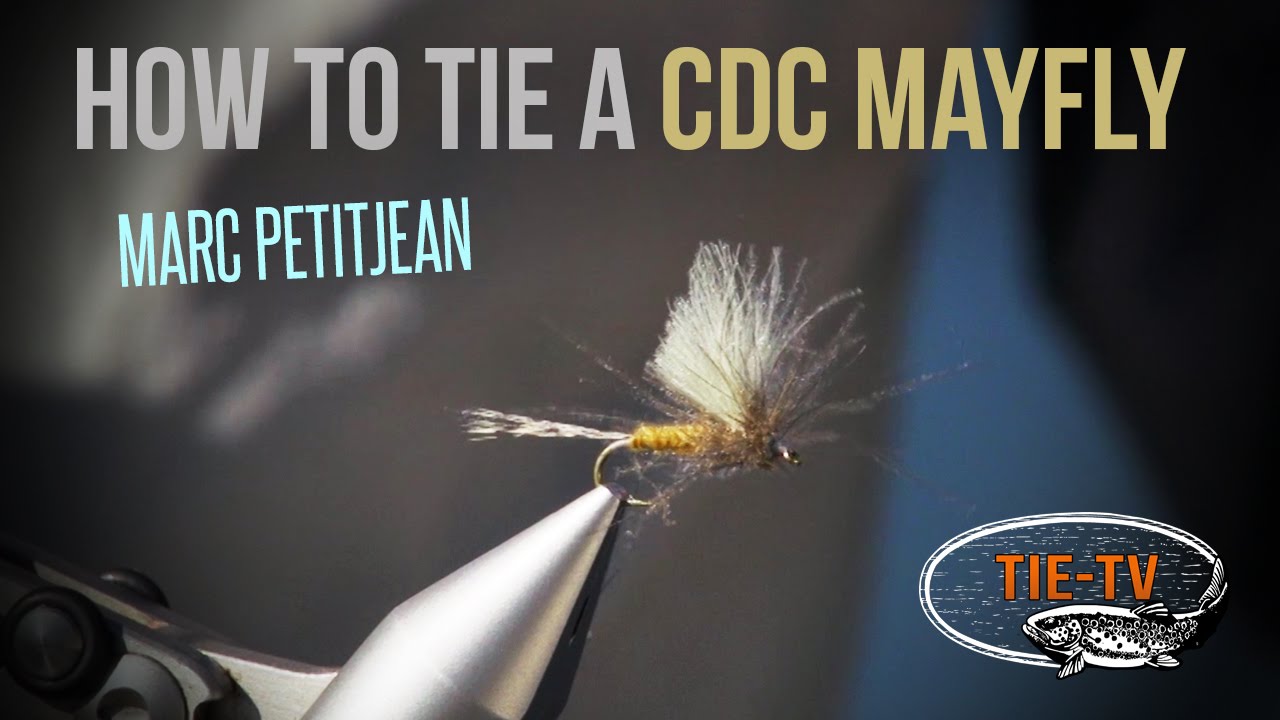 Tie TV - CDC Mayfly - Marc Petitjean - YouTube