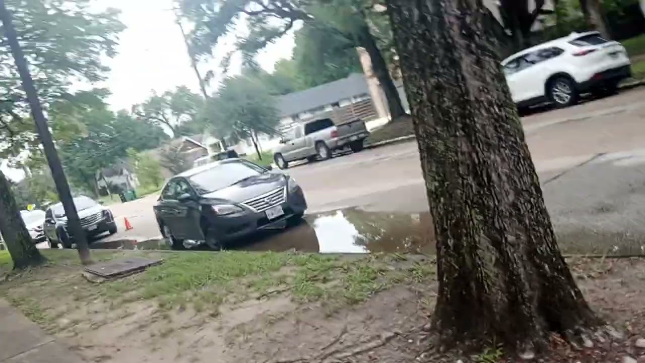 school bus backing up - YouTube