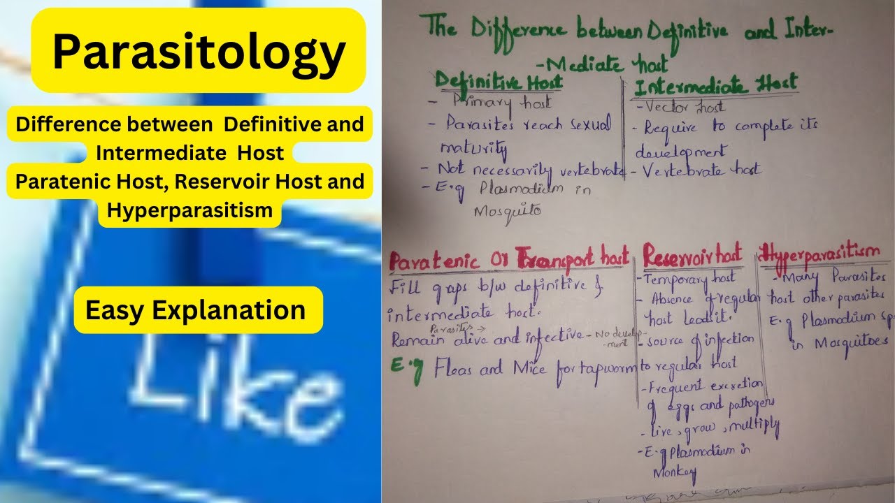 Difference b/w Definitive and Intermediate Host| Paratenic Host ...