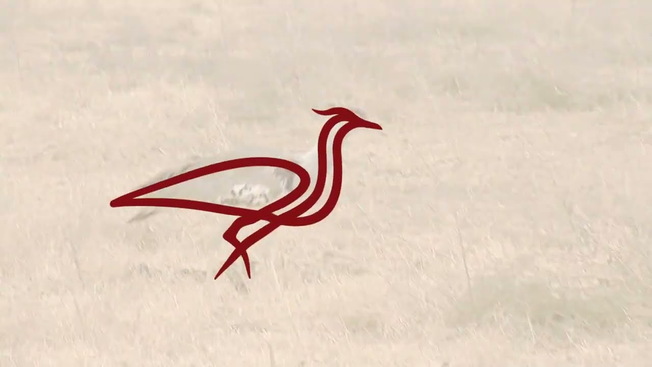 Kgori Capital Anniversary Video (Shorter) - YouTube