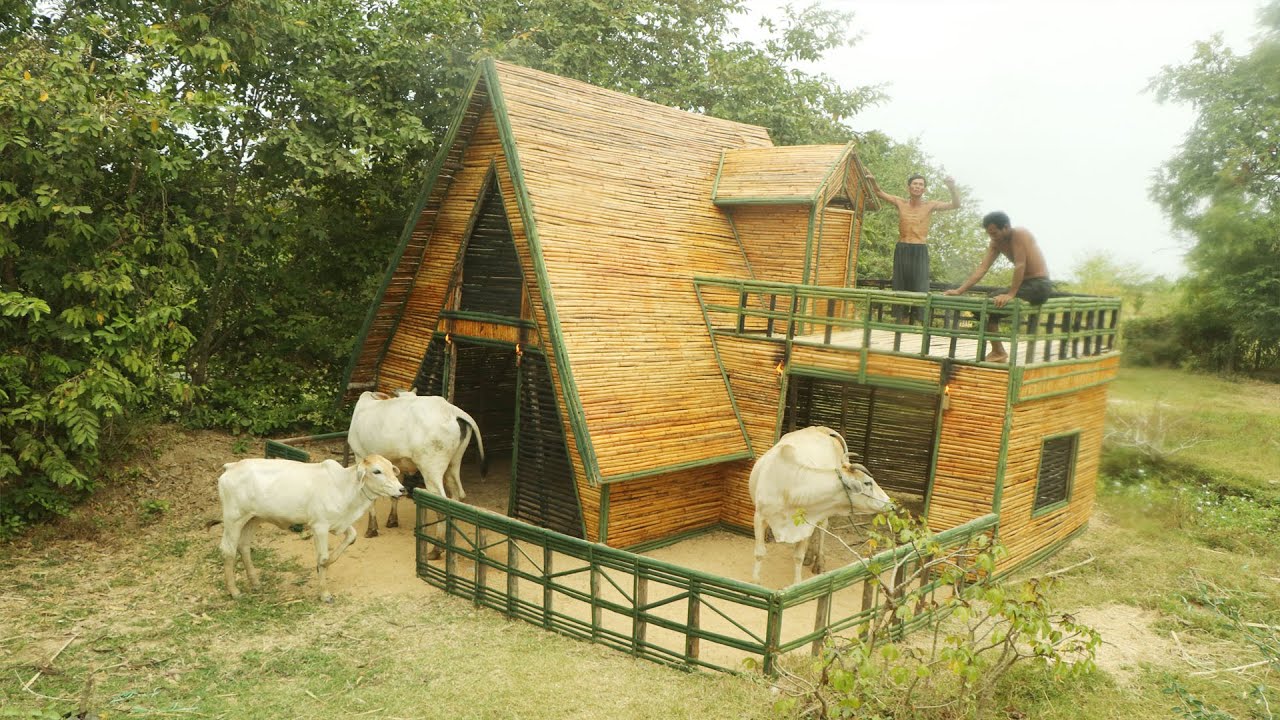 Building the most creative luxury elegant bamboo house for cow ...