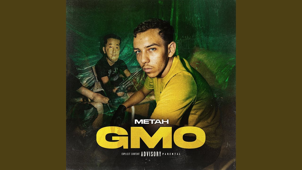 GMO - YouTube