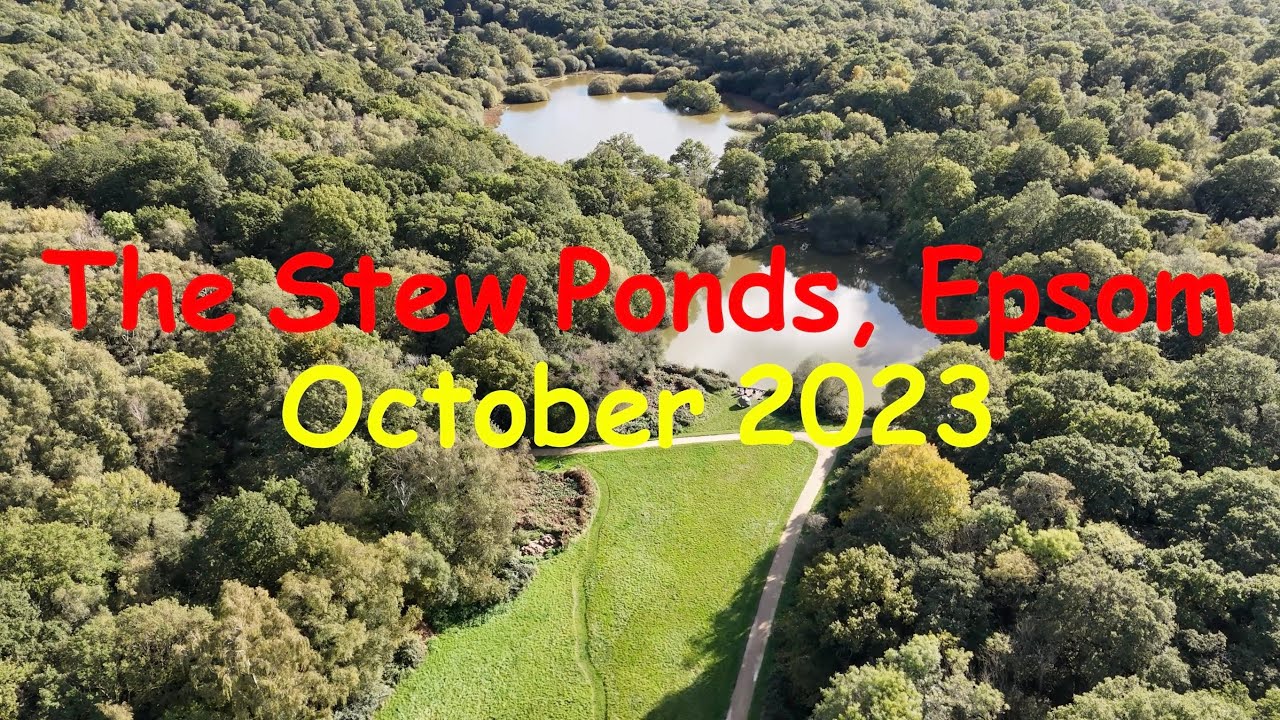 A drone view…..The Stew Ponds, Epsom Common, Surrey - YouTube