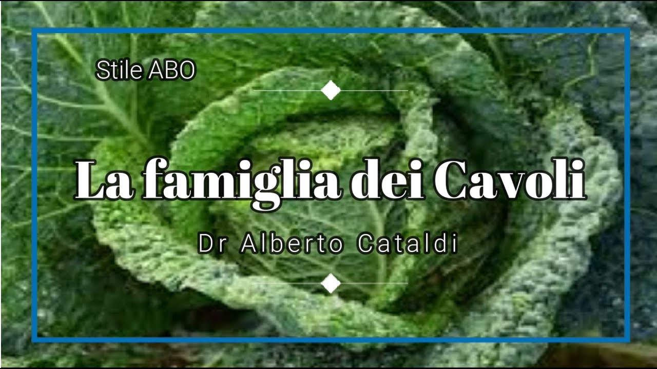 Salute alimentare e la famiglia dei cavoli - YouTube