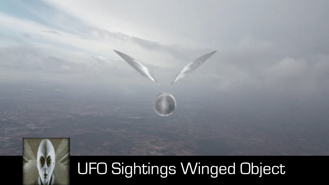 UFO Sightings Winged Object September 23rd 2017 - YouTube