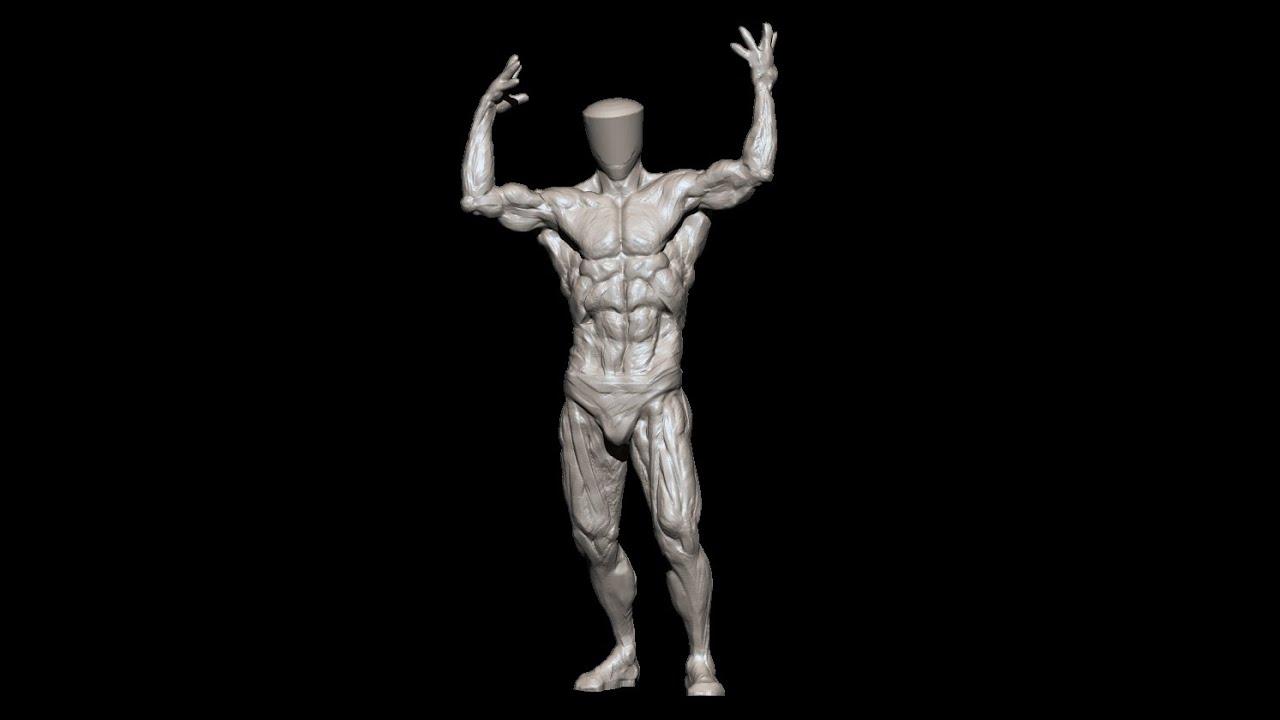 30 Minutes Zbrush Sculpting 203 Muscle 85 - YouTube
