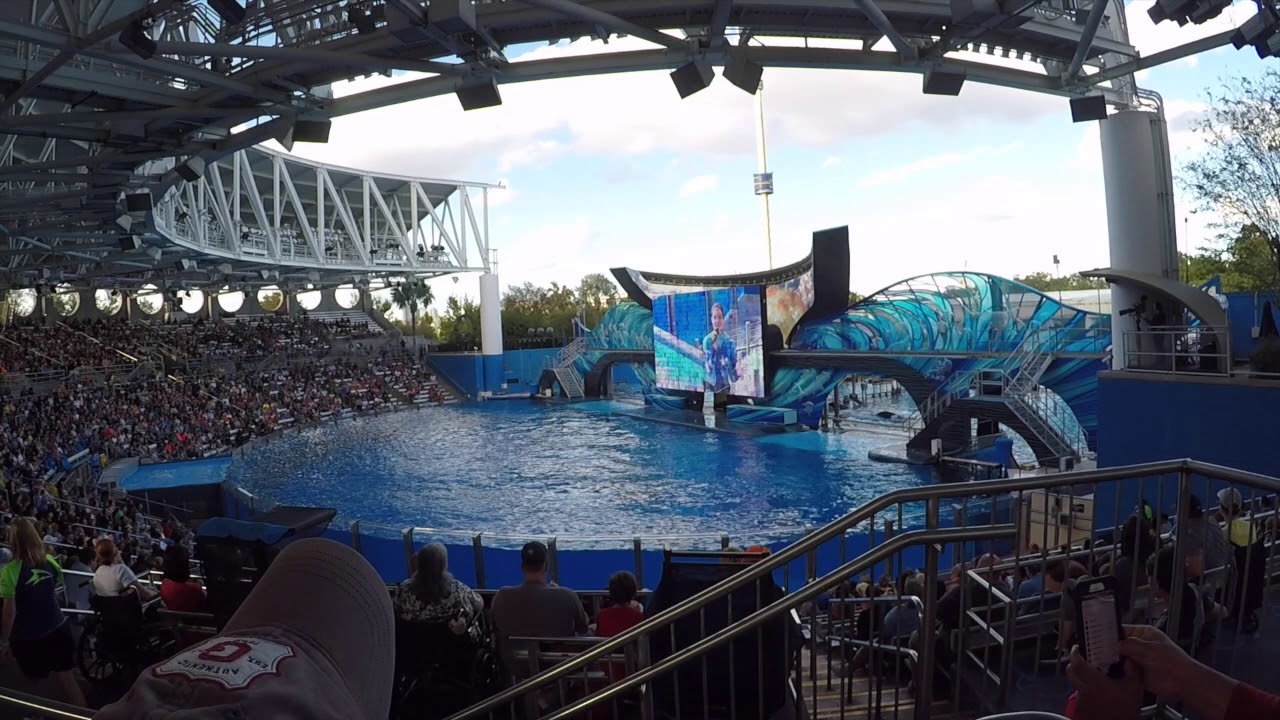 SEAWORLD ONE OCEAN SHOW ORLANDO, FL - YouTube
