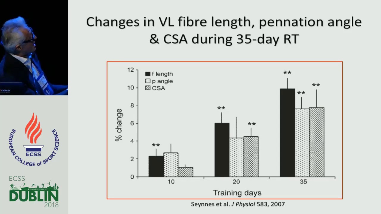 Structural Remodeling of Human Skeletal Muscle with Chronic Loading and ...