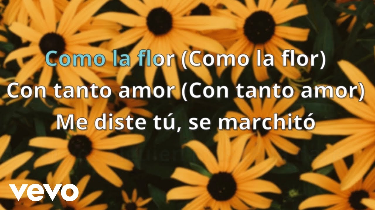 Selena - Como La Flor (Versión Karaoke) - YouTube Music