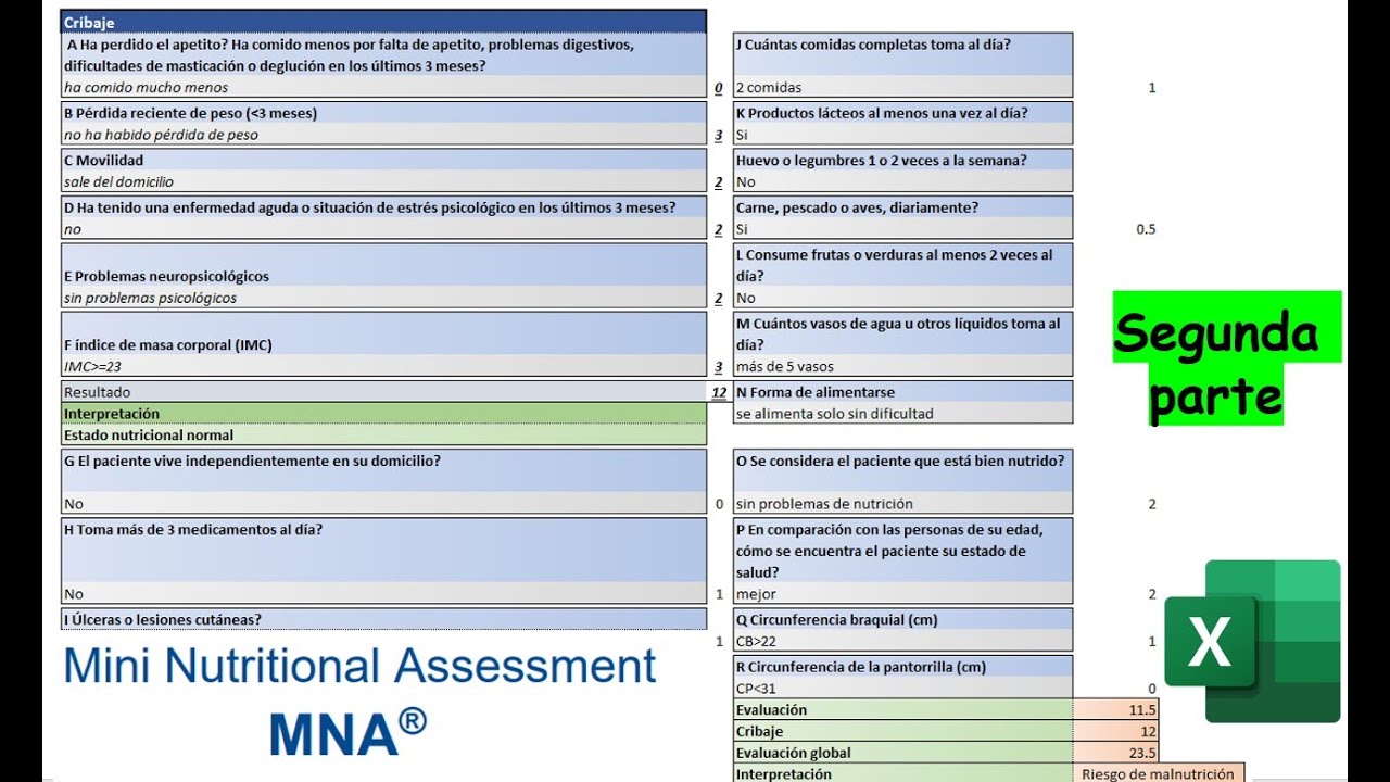 Mini Nutritional Assessment en Excel: Cribaje, Segunda parte - YouTube