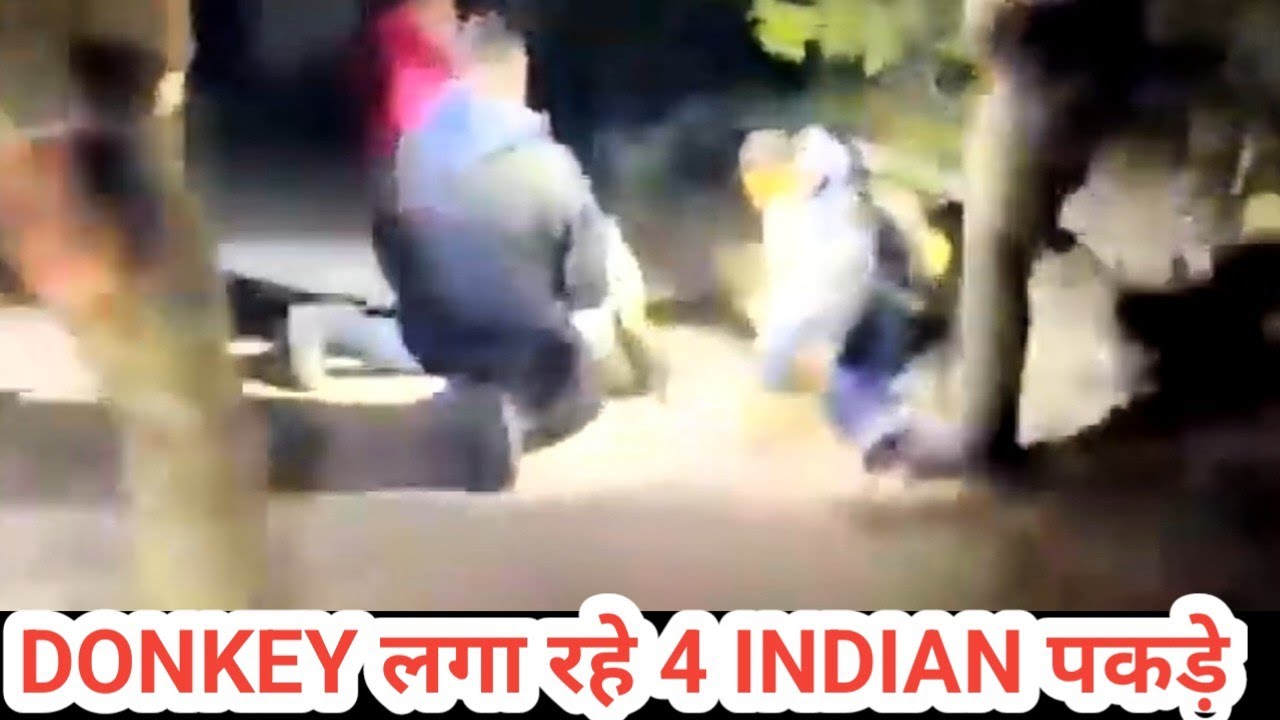 USA DONKEY 2022 | INDIA TO USA DONKEY | AMERICA DONKEY | 2 NUMBER ME ...