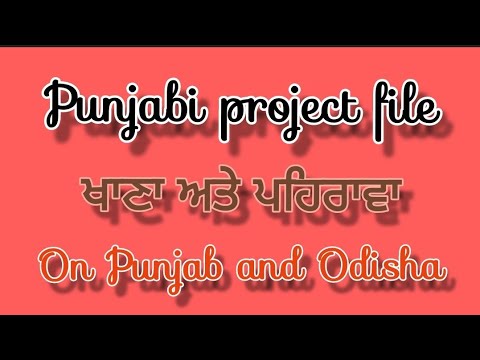 ART INTEGRATED PROJECT FILE ON FOOD AND CLOTHES OF PUNJAB AND ODISHA ...