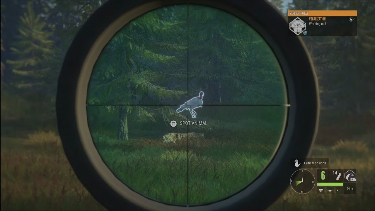 The Hunter COTW Layton Lake Hunting Leucistic Meriam Turkey With 12g ...