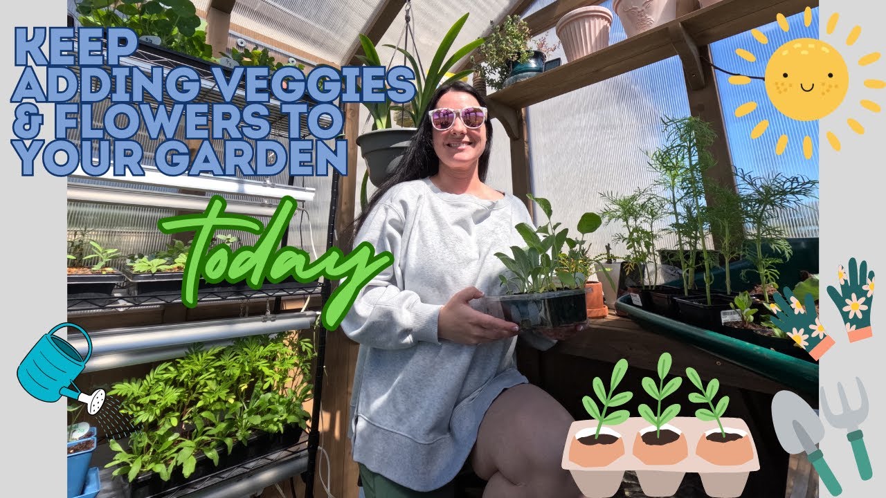 🪴🌱🌻🌼Bloom and Grow: Adding Flowers and Veggies to Your Garden 🪴🌱🌻🌼 ...