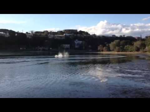 Apparition boat