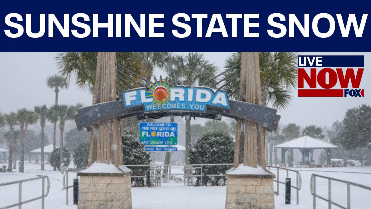 SNOW in Northwest Florida, Gainesville, Jacksonville, Tallahassee ...