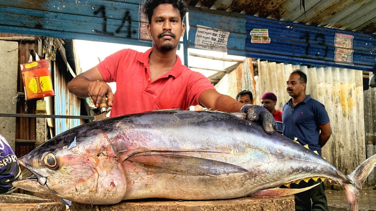 KASIMEDU 🔥 PRAKASH | HUGE TUNA FISH CUTTING | 4K VIDEO | KM FISH ...