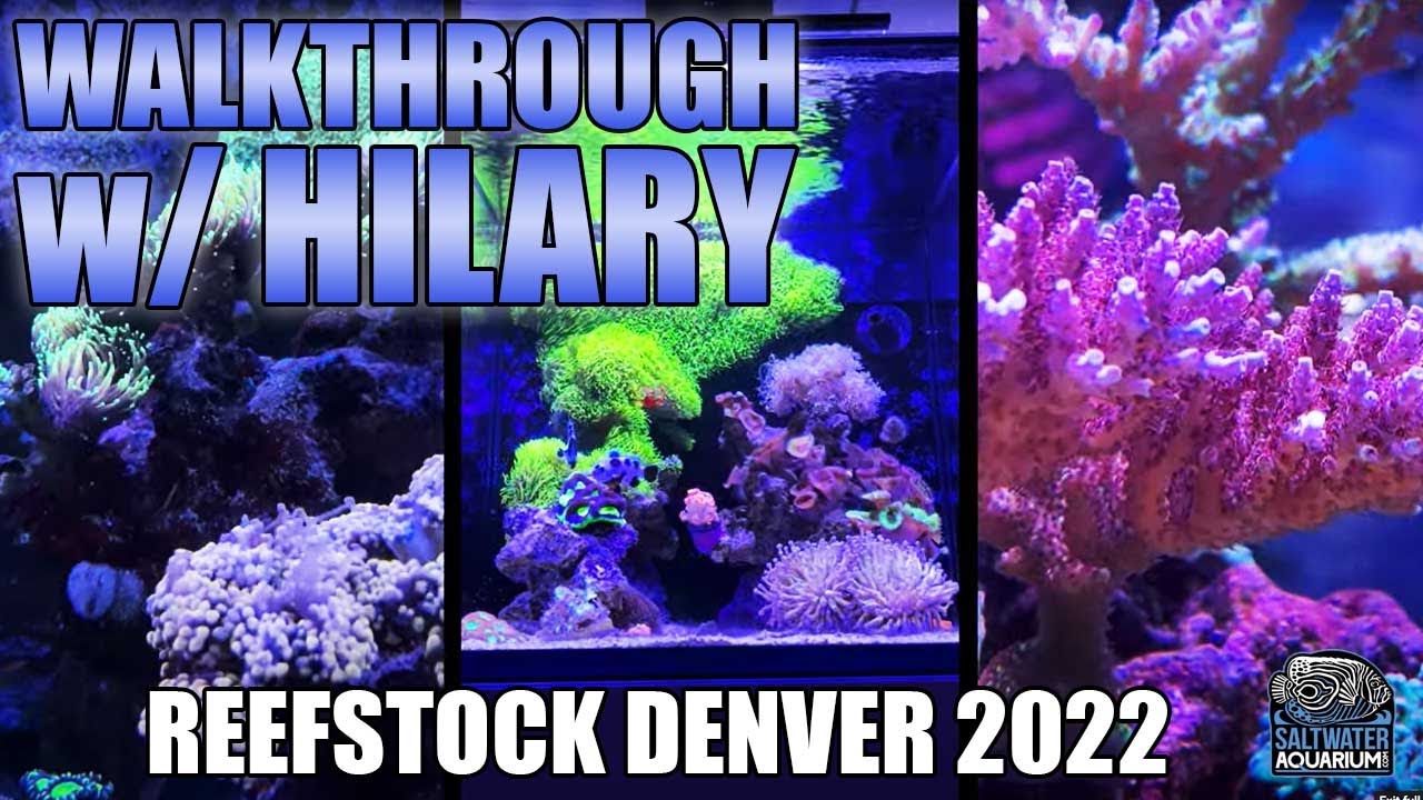 REEFSTOCK Walkthrough with Hilary Jaffe - ReefStock Denver 2022 - YouTube