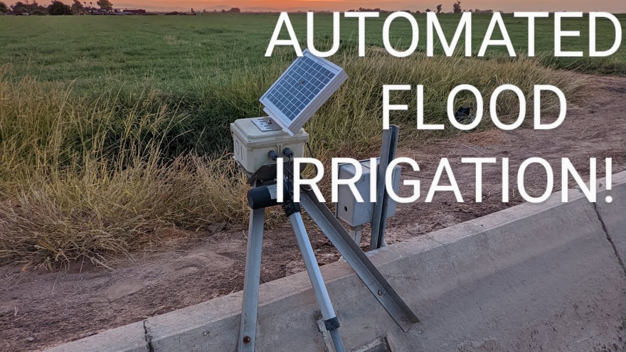 Automated Flood Irrigation Technology - YouTube