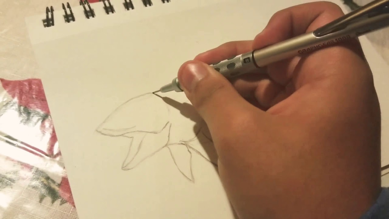Speed-drawing a simple leedsichthys - YouTube