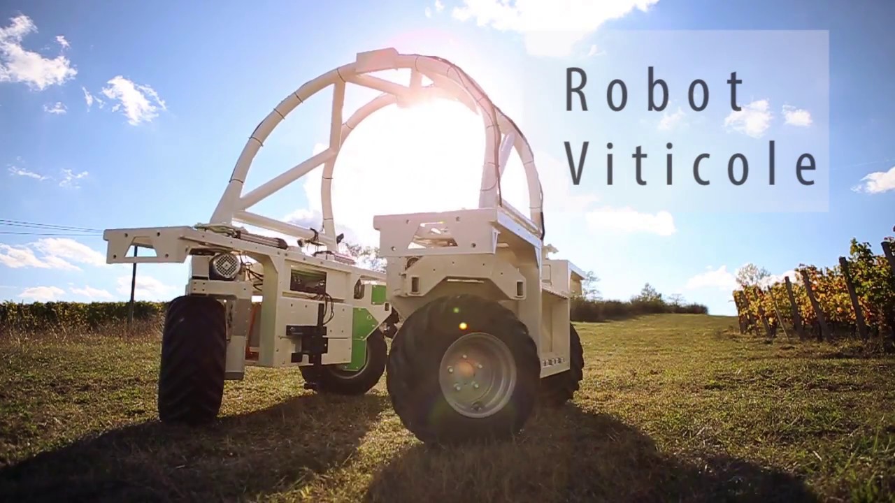 Robot Ted : le robot viticole enjambeur de désherbage - YouTube