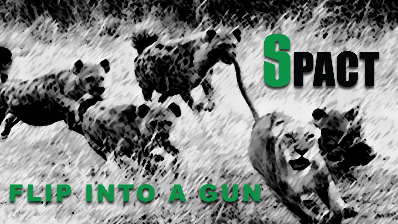 Flip Into A Gun - YouTube