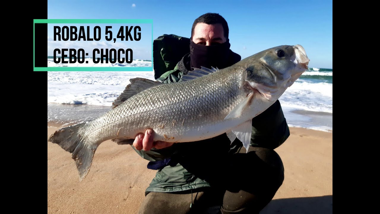 PESCA de ROBALOS XL a SURFCASTING en TEMPORAL - YouTube