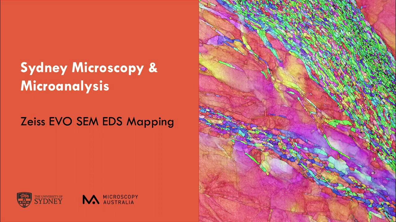 SEM: Zeiss EVO SEM EDS Part 1: Point & ID - YouTube