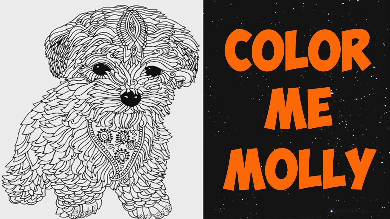 COLOR ME MOLLY - YouTube