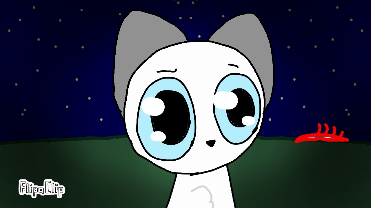 cat - flipaclip animation test - YouTube